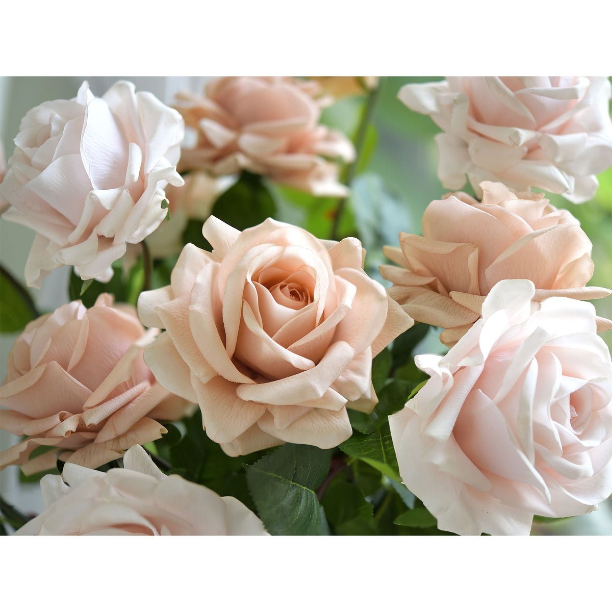 6 Long Stems Chocolate Pink Real Touch Garden Roses Large Blooms ...