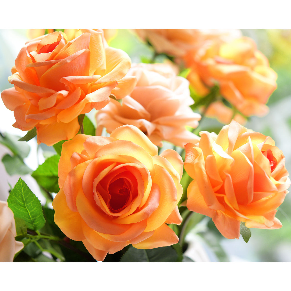 6 Long Stems Sunglow Orange Real Touch Garden Roses Large Blooms ...