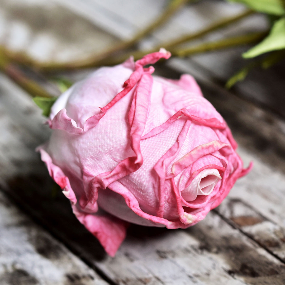 Rosy Purple Dried Look Real Touch Silk Roses Artificial Flowers 4 Stem ...