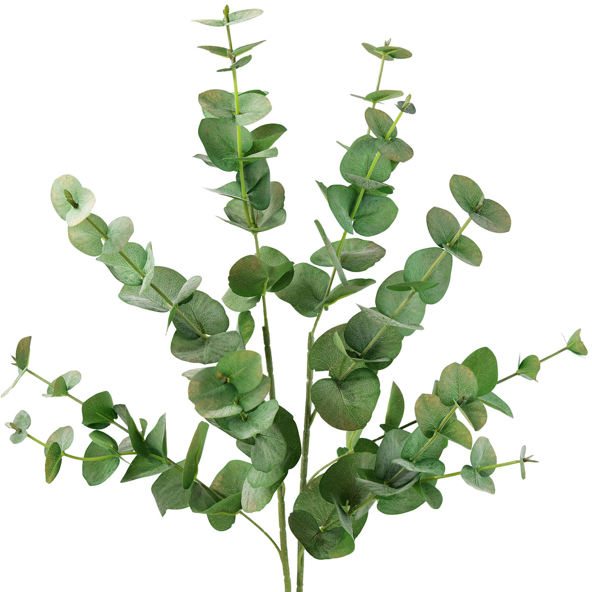 Real Looking True Blue Eucalyptus 22.8” (58cm) Greenery Artificial Euc ...
