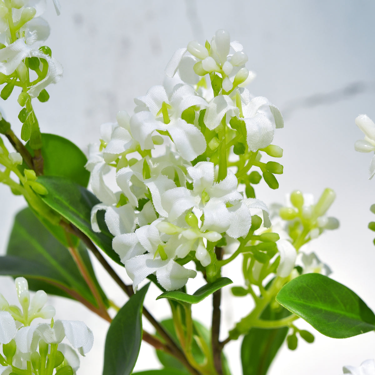 5 Stems Artificial White Murraya Panniculata Branches Orange Jessamine ...