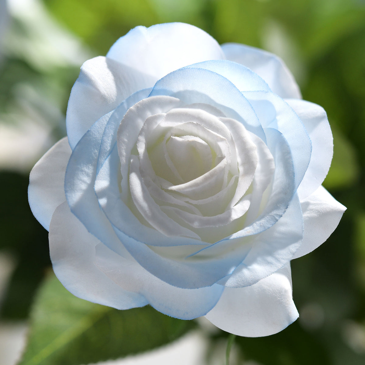 Real Touch Antarctic Icy Blue Roses Silk Artificial Flowers ‘Petals Fe ...